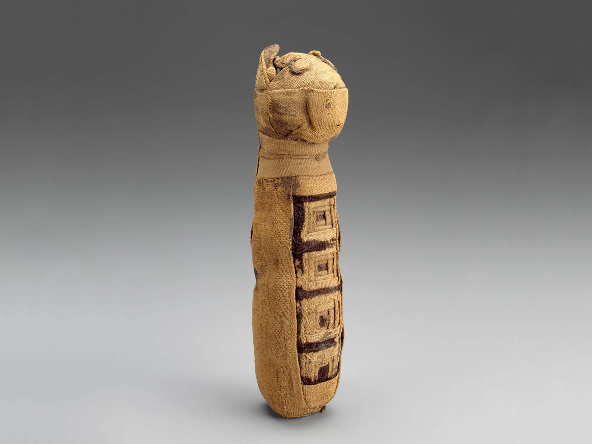 Hidden Stories: Animal Mummies | Museum of Fine Arts Boston