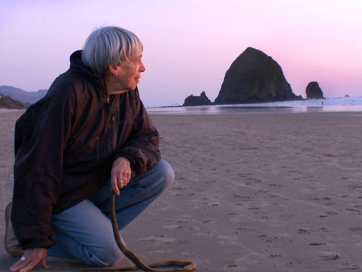 Worlds of Ursula K. Le Guin | Museum of Fine Arts, Boston