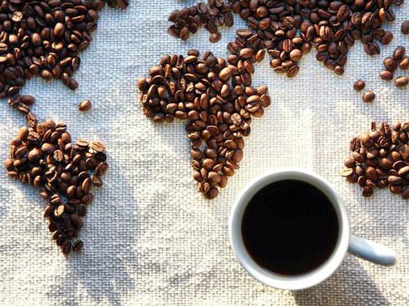 Coffee Origins | Museum of Fine Arts, Boston