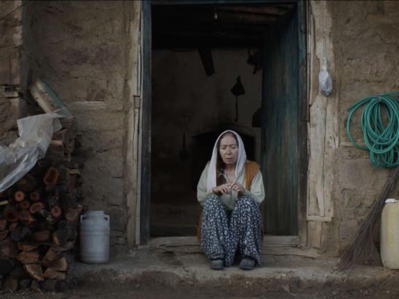 Murtaza | Museum of Fine Arts, Boston