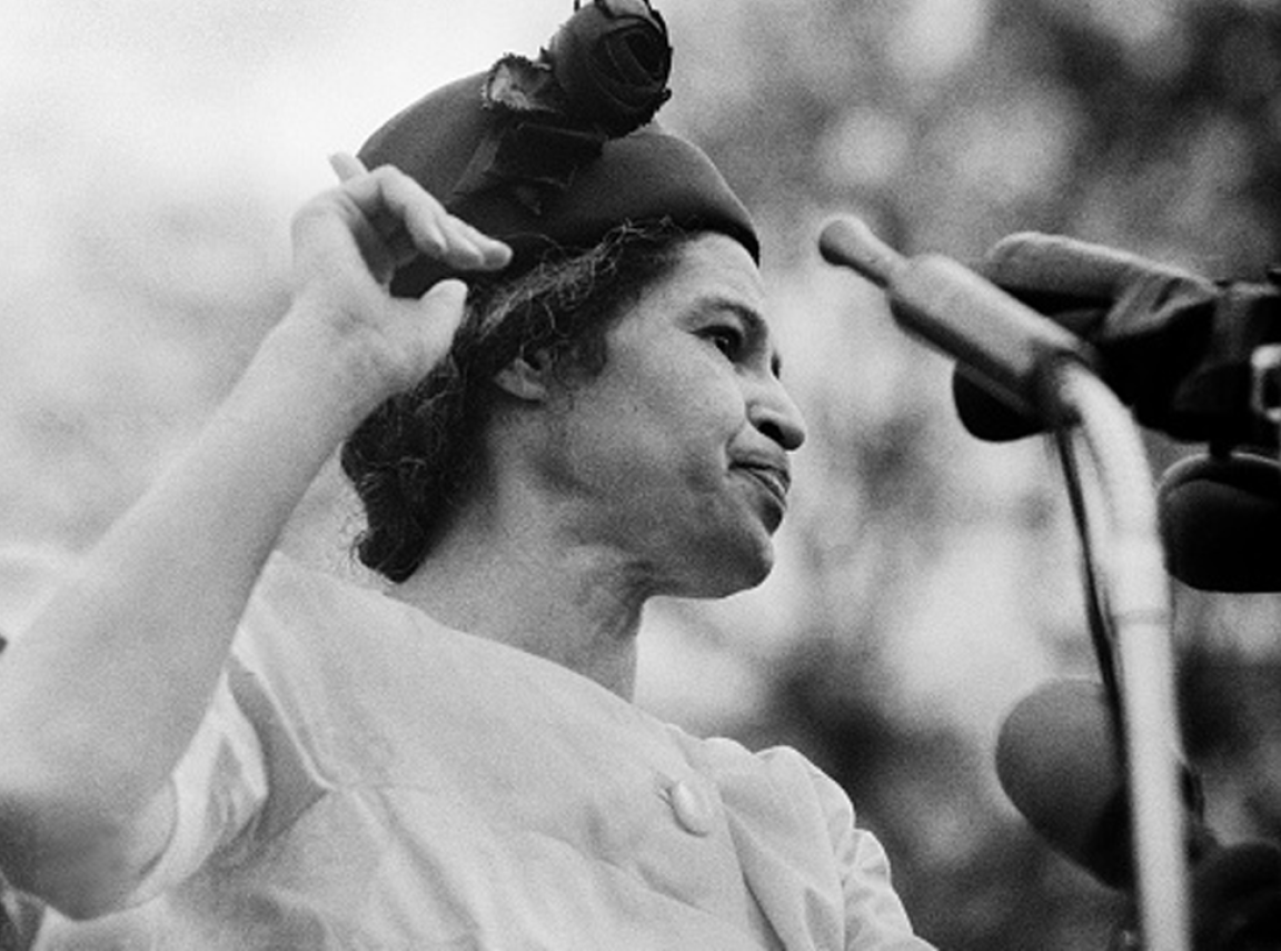 Film | Museum of Fine Arts Boston